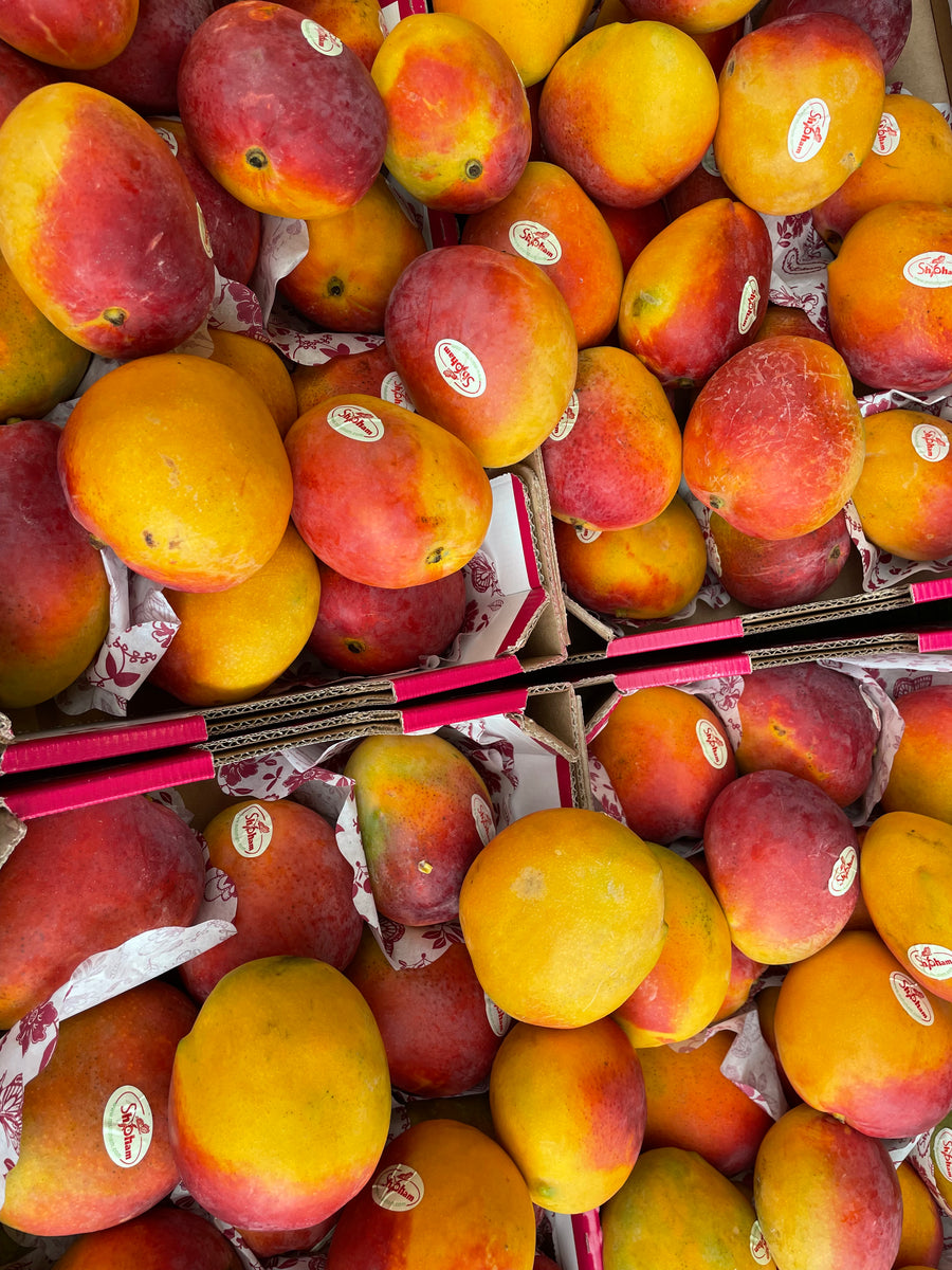 Fresh Sweet Maya Mango – Exotic Express