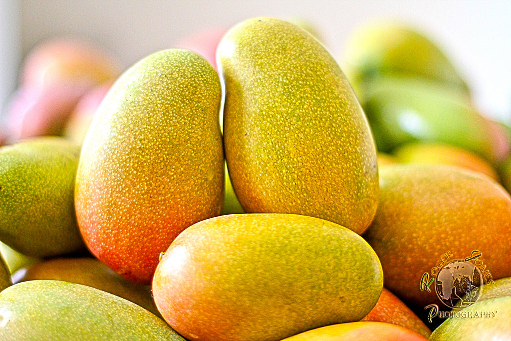 Fresh Jamaican East Indian Mango – Exotic Express