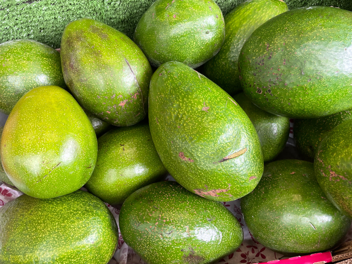 Fresh Ugandan Avocado – Exotic Express