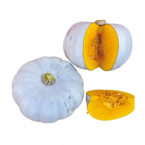 Fresh Crown Prince Pumpkin – Exotic Express