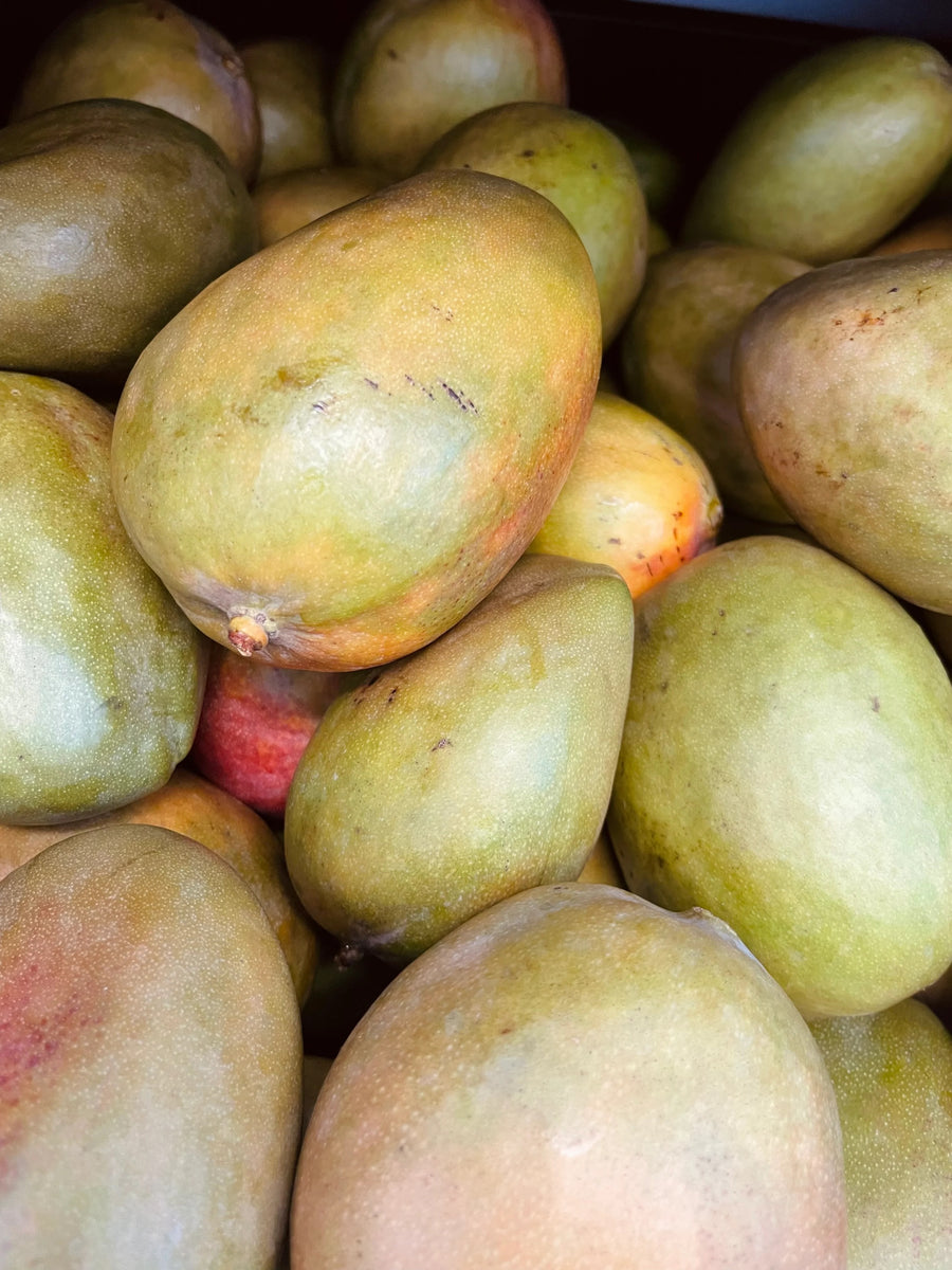 Fresh St Lucian | Jamaican Julie Mango – Exotic Express